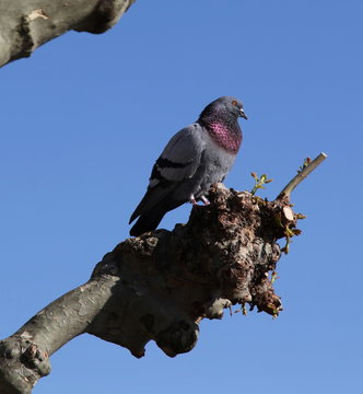 Guetter Bilder – Durchsuchen 523 Archivfotos, Vektorgrafiken und Videos ...