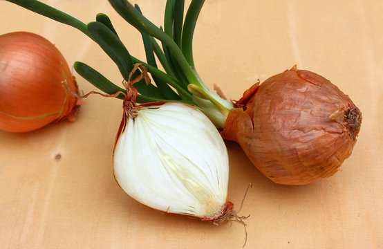 รูปภาพKeimend – เลือกดูภาพถ่ายสต็อก เวกเตอร์ และวิดีโอ138 | Adobe Stock