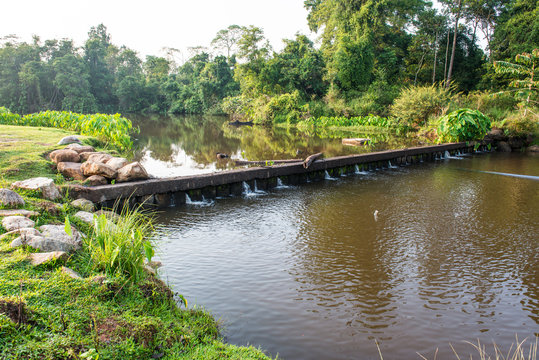 "Small Dam" Images – Browse 288 Stock Photos, Vectors, and Video ...
