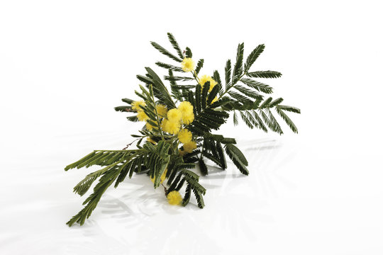 รูปภาพAkazie – เลือกดูภาพถ่ายสต็อก เวกเตอร์ และวิดีโอ3,433 | Adobe Stock