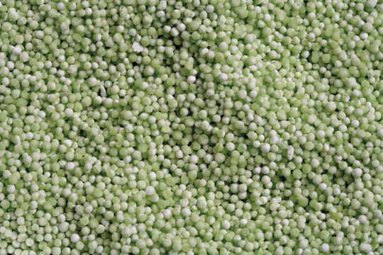 รูปภาพTapioka – เลือกดูภาพถ่ายสต็อก เวกเตอร์ และวิดีโอ724 | Adobe Stock