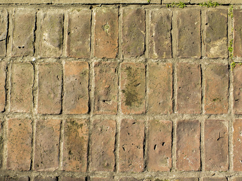 Intercalado Images – Browse 13 Stock Photos, Vectors, and Video | Adobe ...