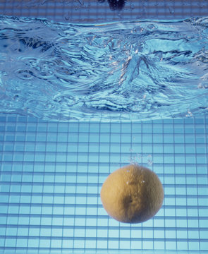 Ripplet Images – Browse 58 Stock Photos, Vectors, and Video | Adobe Stock