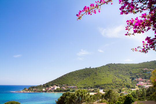 Tarco Images – Browse 16 Stock Photos, Vectors, and Video | Adobe Stock