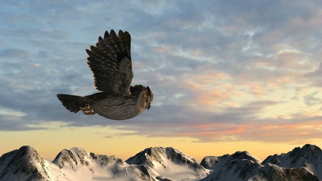 "Owl Flying" 影像 – 瀏覽 2,131 個素材庫相片、向量圖和影片 | Adobe Stock