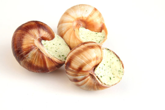 รูปภาพ"Escargots – เลือกดูภาพถ่ายสต็อก เวกเตอร์ และวิดีโอ3,214 | Adobe ...