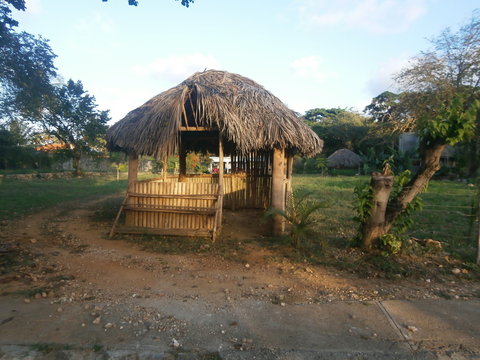 「Paillotte」の画像 - 205 件の Stock 写真、ベクターおよびビデオ | Adobe Stock