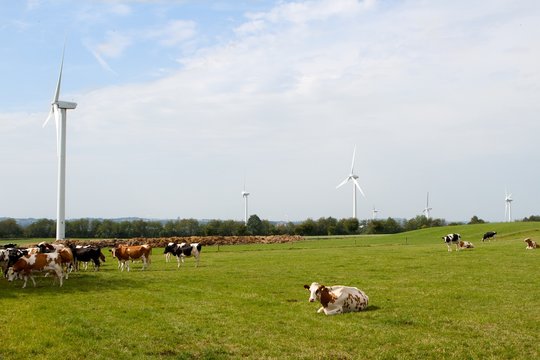 Biostrom Bilder – Durchsuchen 1,146 Archivfotos, Vektorgrafiken und ...
