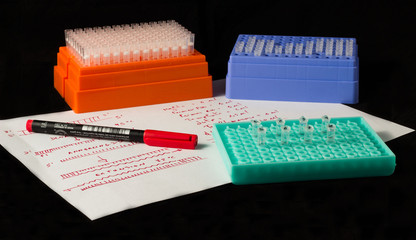 Overview of the PCR Process – Bryce Lindgren