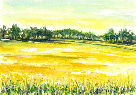 Field Watercolor Images – Browse 96,112 Stock Photos, Vectors, and ...