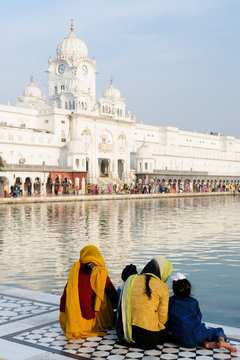 Amstar Images – Browse 59 Stock Photos, Vectors, and Video | Adobe Stock