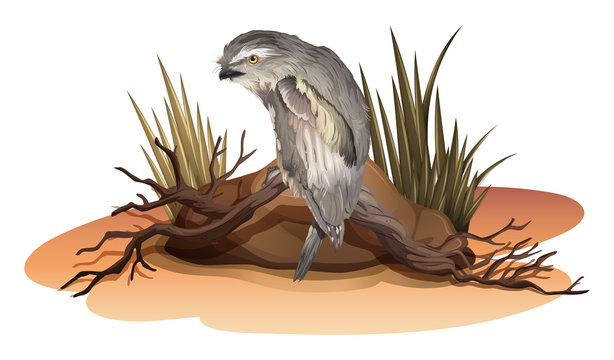 Hesperornithes Images – Browse 9 Stock Photos, Vectors, and Video ...