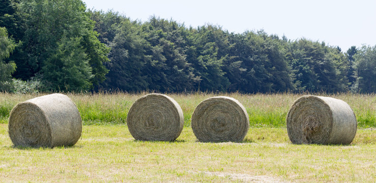 「Heurolle」の画像 - 192 件の Stock 写真、ベクターおよびビデオ | Adobe Stock