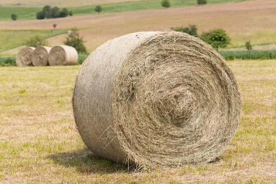「Heurolle」の画像 - 192 件の Stock 写真、ベクターおよびビデオ | Adobe Stock