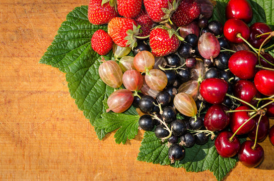 Goosegog Images – Browse 55 Stock Photos, Vectors, and Video | Adobe Stock