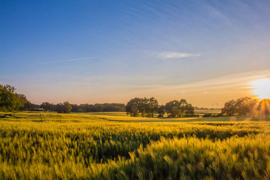 Fotolia - Images et vidéos libres de droits | Adobe Stock