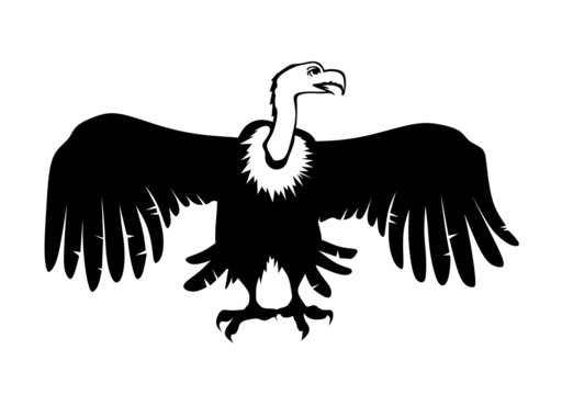 Pleitegeier Bilder – Durchsuchen 15,357 Archivfotos, Vektorgrafiken und ...