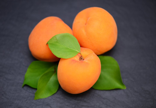 Marille Bilder – Durchsuchen 17,195 Archivfotos, Vektorgrafiken und ...