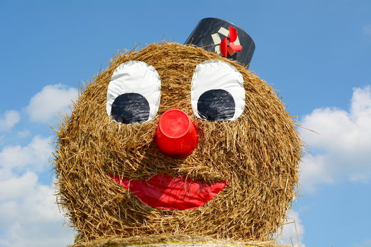 Strohmann Images – Browse 83 Stock Photos, Vectors, and Video | Adobe Stock