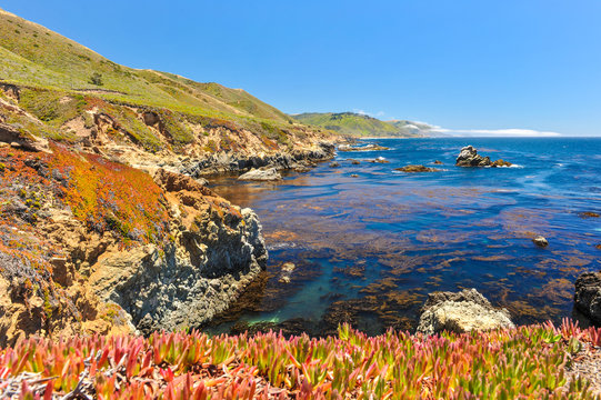 "Garrapata State Park" Images – Browse 895 Stock Photos, Vectors, and ...