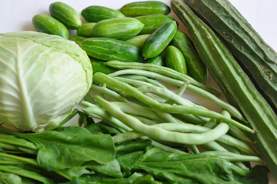 รูปภาพTindla – เลือกดูภาพถ่ายสต็อก เวกเตอร์ และวิดีโอ2,110 | Adobe Stock