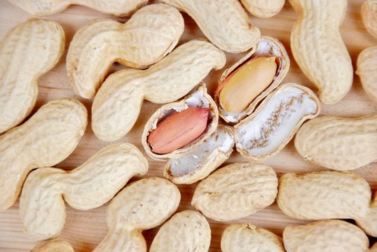 153 MIGLIORI IMMAGINI, FOTO STOCK E VETTORIALI PER Bagigi | Adobe Stock