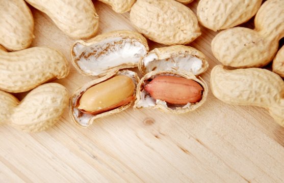 153 MIGLIORI Bagigi IMMAGINI, FOTO STOCK E VETTORIALI | Adobe Stock