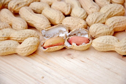 Bagigi bilder – Bläddra bland 150 stockfoton, vektorer och videor ...