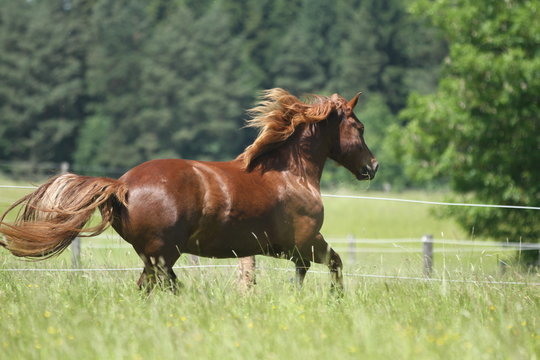 Imágenes de Freiberger: descubre bancos de fotos, ilustraciones ...