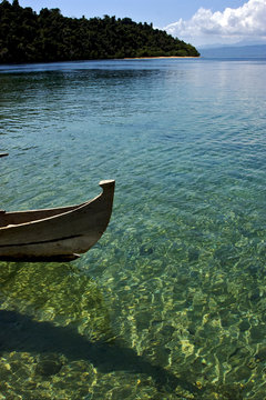 Refex Images – Browse 31 Stock Photos, Vectors, and Video | Adobe Stock