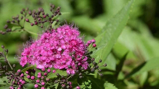 Imagens de Spiere – Explore Fotografias do Stock, Vetores e Vídeos de ...