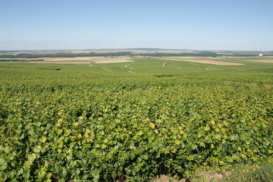 รูปภาพCoteau – เลือกดูภาพถ่ายสต็อก เวกเตอร์ และวิดีโอ4,558 | Adobe Stock