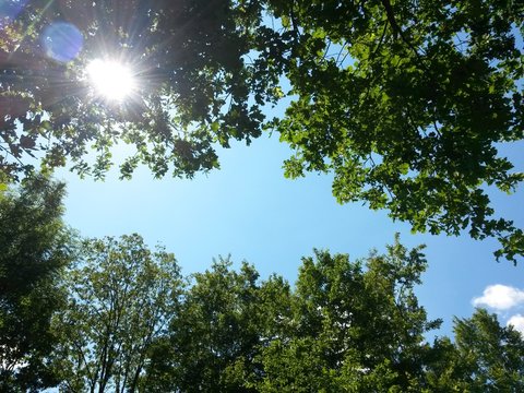 Sommersonne Imagens – Procure 1,077 fotos, vetores e vídeos | Adobe Stock