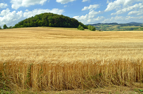 รูปภาพGetreideart – เลือกดูภาพถ่ายสต็อก เวกเตอร์ และวิดีโอ756 | Adobe Stock