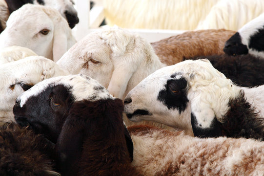 รูปภาพAwassi – เลือกดูภาพถ่ายสต็อก เวกเตอร์ และวิดีโอ314 | Adobe Stock