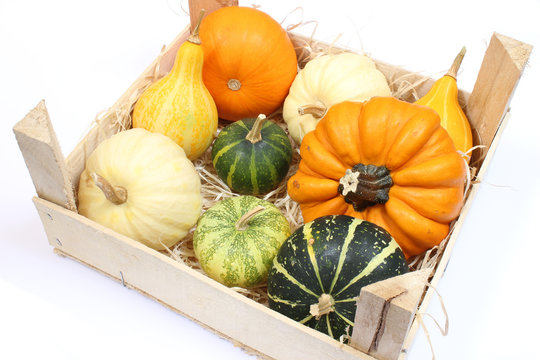 รูปภาพCageot – เลือกดูภาพถ่ายสต็อก เวกเตอร์ และวิดีโอ1,541 | Adobe Stock