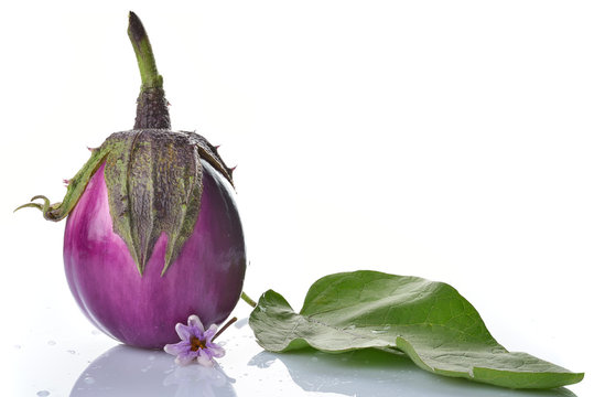 Melanzana Images – Browse 2,665 Stock Photos, Vectors, and Video ...