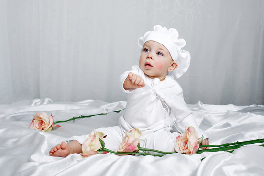 รูปภาพCookee – เลือกดูภาพถ่ายสต็อก เวกเตอร์ และวิดีโอ106 | Adobe Stock