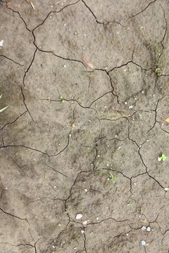 「Erdboden」の写真素材 | 46,273件の無料イラスト画像 | Adobe Stock