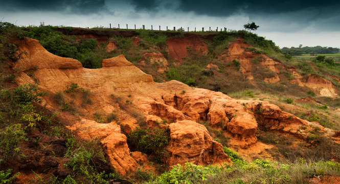 รูปภาพGongoni – เลือกดูภาพถ่ายสต็อก เวกเตอร์ และวิดีโอ94 | Adobe Stock