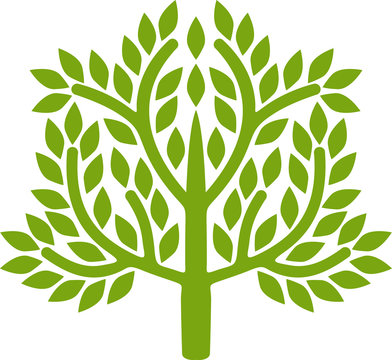 "Symmetrical Tree" Images – Browse 114 Stock Photos, Vectors, and Video ...