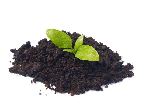 Torf Bilder – Durchsuchen 51,657 Archivfotos, Vektorgrafiken und Videos ...