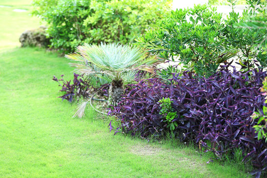 รูปภาพMix-Border – เลือกดูภาพถ่ายสต็อก เวกเตอร์ และวิดีโอ364 | Adobe Stock