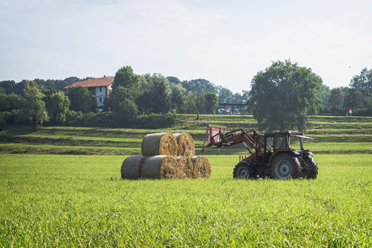 Nei bilder – Bläddra bland 1,282 stockfoton, vektorer och videor ...