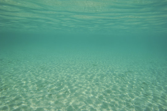 Shallow Images – Browse 456,185 Stock Photos, Vectors, and Video ...