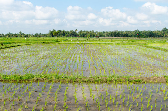 รูปภาพHectare – เลือกดูภาพถ่ายสต็อก เวกเตอร์ และวิดีโอ48,570 | Adobe Stock