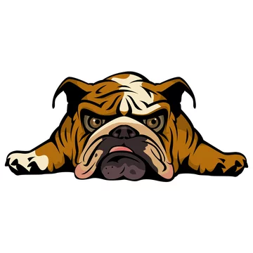 Cartoon Dicker Hund