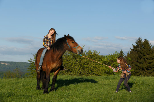 Stolidly Bilder – Durchsuchen 1,257 Archivfotos, Vektorgrafiken und ...