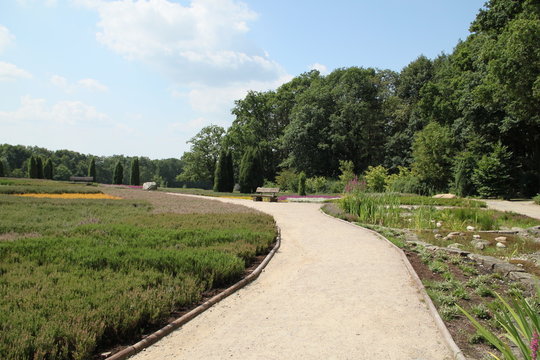 รูปภาพSandweg – เลือกดูภาพถ่ายสต็อก เวกเตอร์ และวิดีโอ1,099 | Adobe Stock