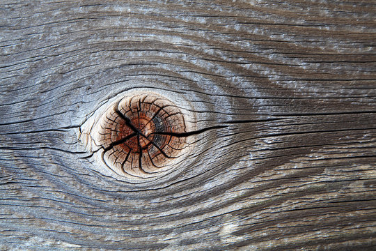 「Astloch」の画像 - 3,592 件の Stock 写真、ベクターおよびビデオ | Adobe Stock